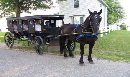 Full-Day Guided Tour of Indiana's Amish Country
